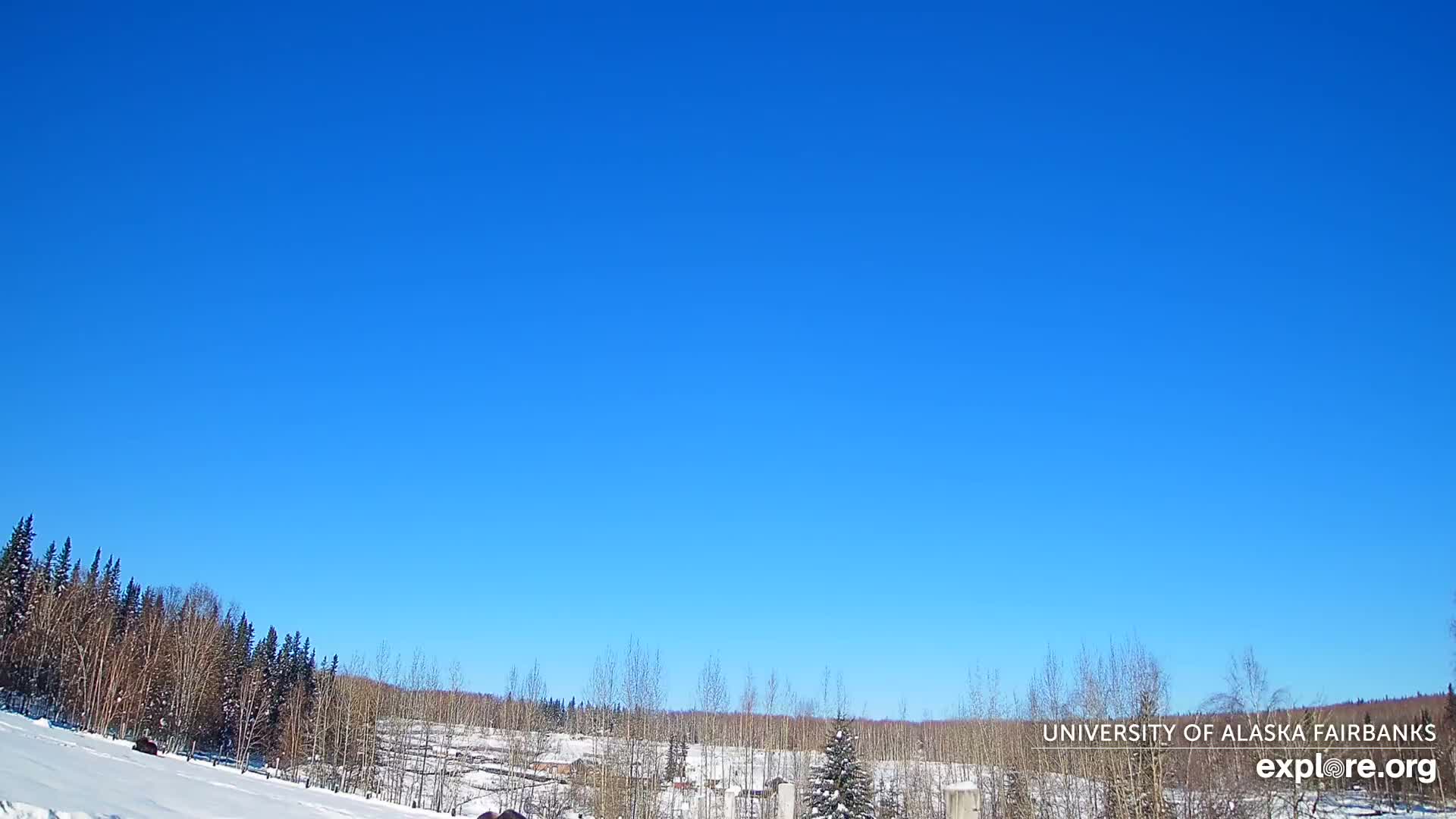 University of Alaska, Fairbanks North Star Northern Lights / Aurora ...
